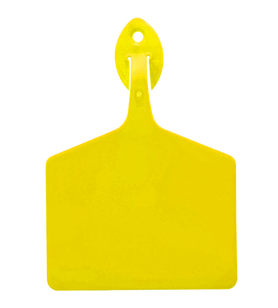 Allflex Original Feedlot One Piece Tag - 4Tags.co.za
