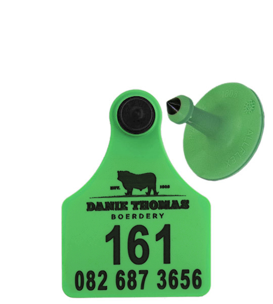 Allflex Senior Female, Button Male Combo - 4Tags.co.za