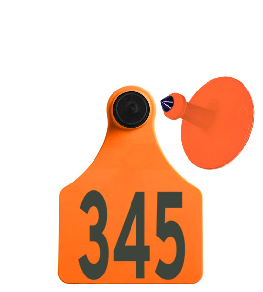 Allflex Senior Female, Button Male Combo - 4Tags.co.za