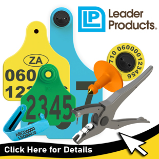 Just Better - 4Tags.co.za