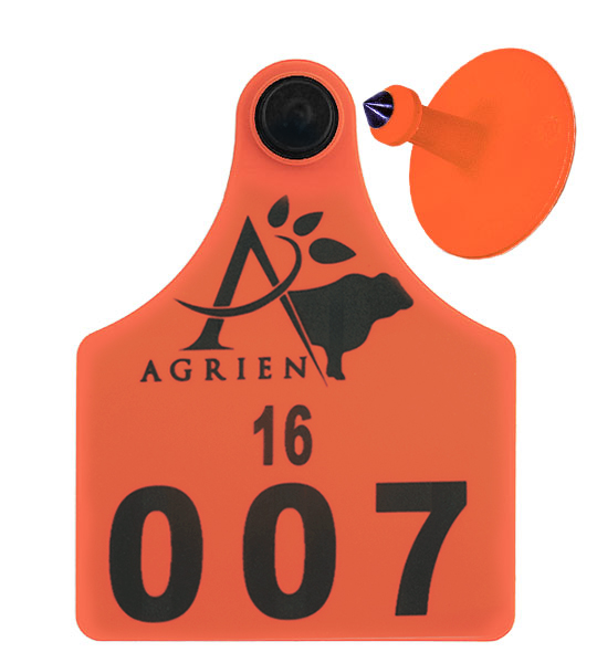 Allflex Maxi Female, Button Male Combo - 4Tags.co.za