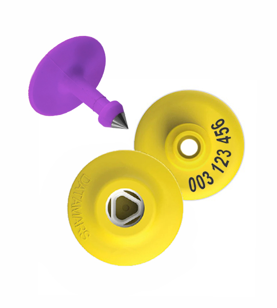 Z Tag EID 30mm HDX Reusable (Open) Tags - 4Tags.co.za
