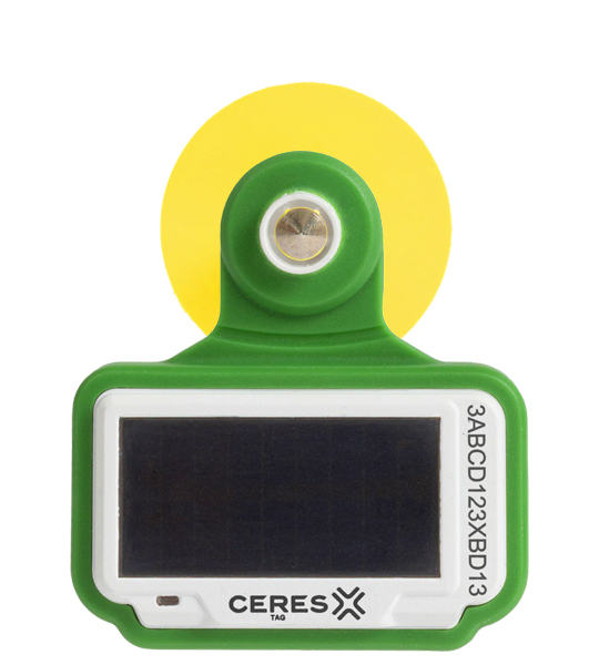 CERES RANCHER Tag - 4Tags.co.za