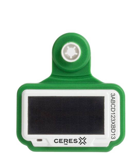 CERES RANCHER Tag - 4Tags.co.za